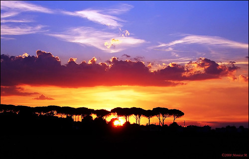 #7 concorso/contest "ALBERI AL TRAMONTO" - "SUNSET & TREES" | Il ...