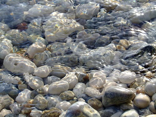 33.3 Patterns in nature | !Afterclass! | Flickr