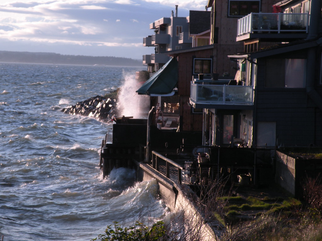 Seattle In May (Bellevue, Highland: home, gardens, moving to ...
